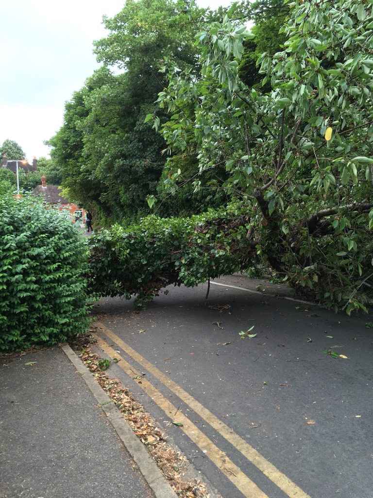 How to react to unexpected obstacles – Amy and Ellen